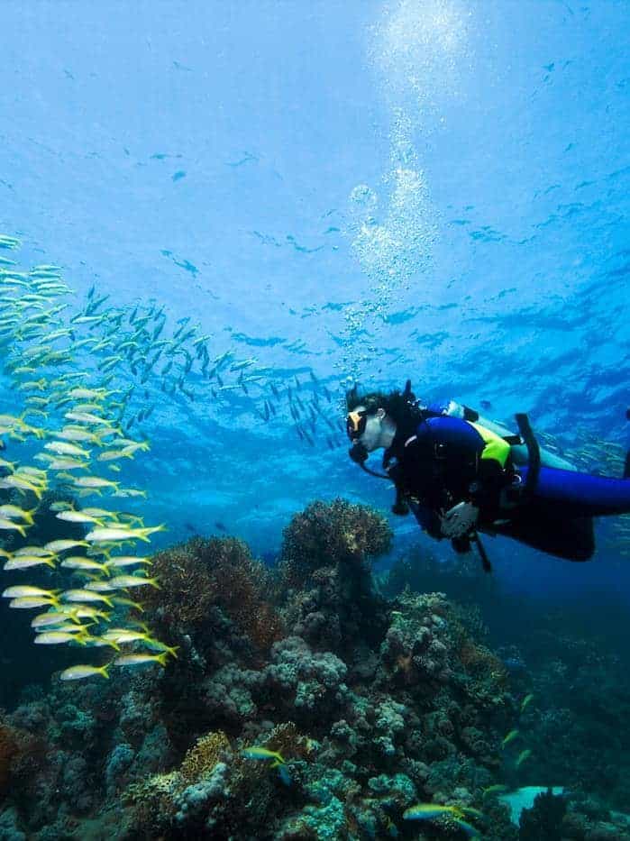 Experience SCUBA Costa Rica | Special Places of Costa Rica