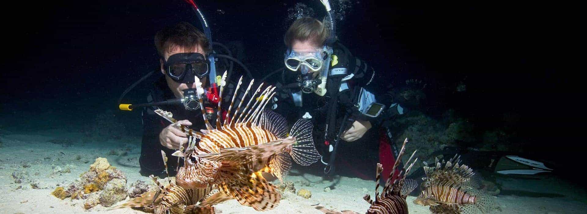 Scuba Diving at Night in Costa Rica | Special Places of Costa Rica